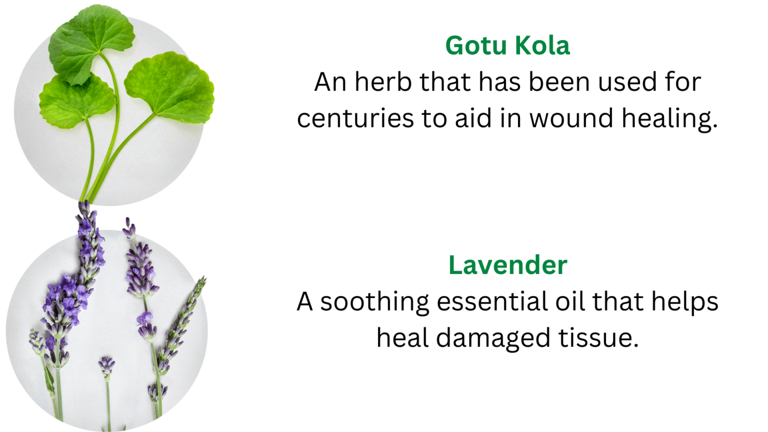 Essentials Toothpaste – Fluoride-Free, Antimicrobial and SLS-free ...