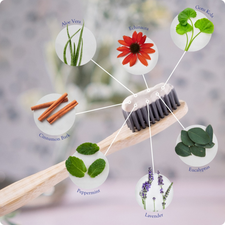 Healthy Gums Starter Kit – Dental Herb Company