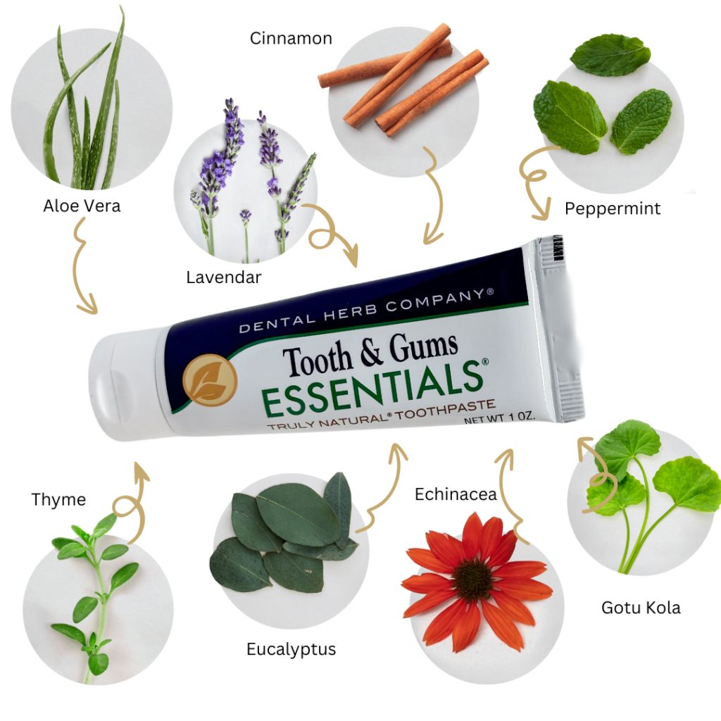 Essentials Toothpaste – Travel Size – Dental Herb Company