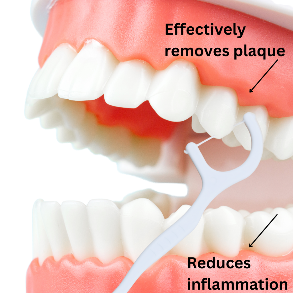 4 Pack – Biodegradable Floss Picks – 50 per pack – Unflavored – Dental ...